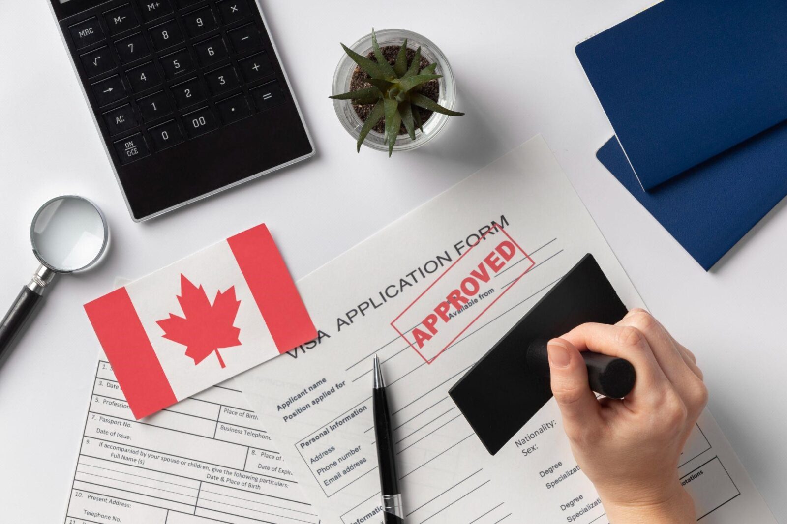 Top 5 Steps to Get Canadian Citizenship After PR